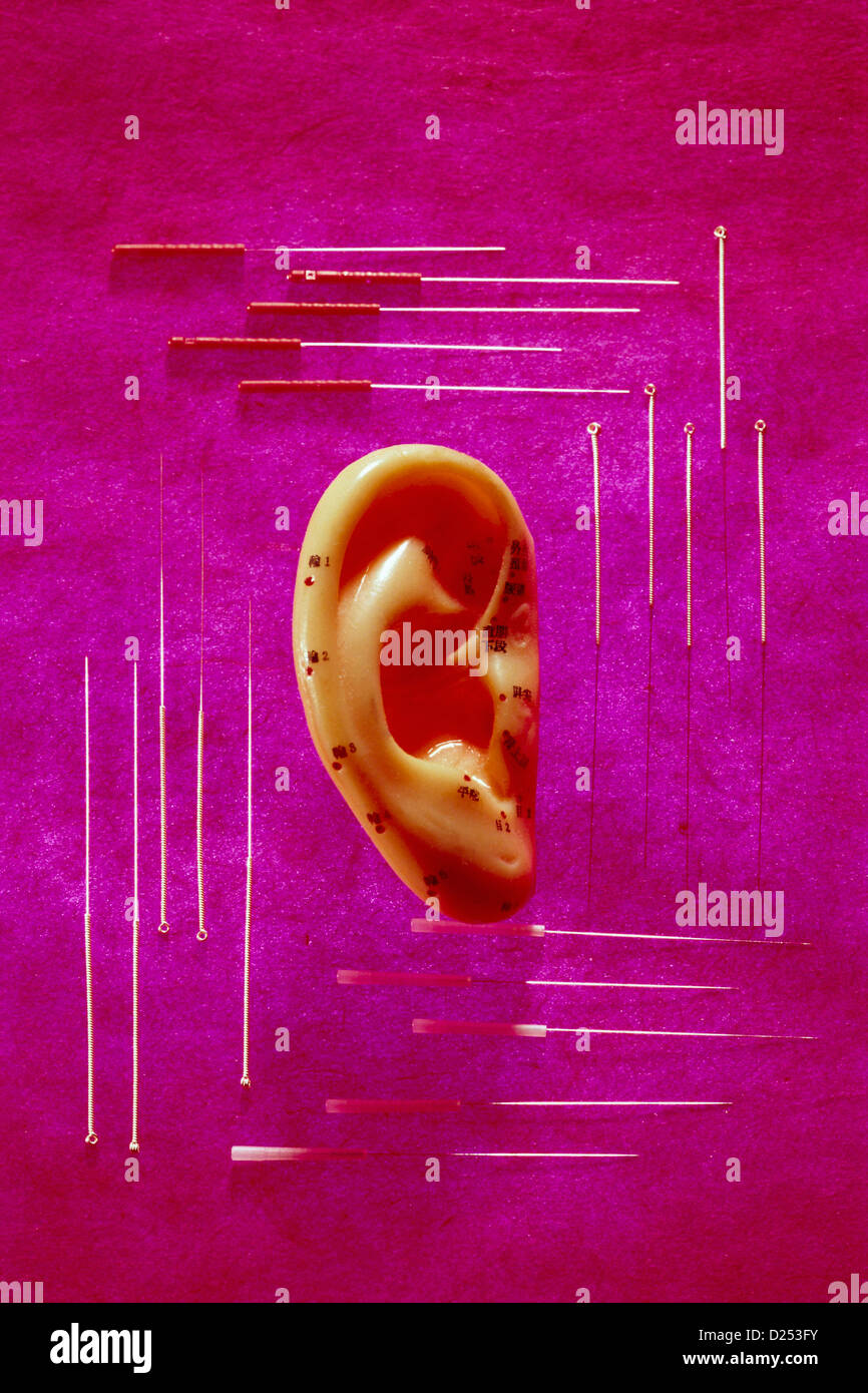 Ear diagram hi-res stock photography and images - Alamy