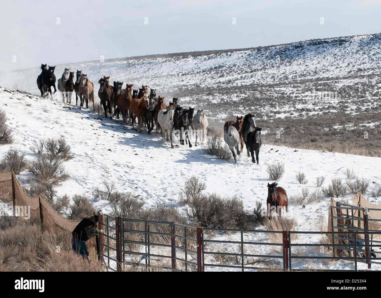 America outdoors owyhee hi-res stock photography and images - Alamy