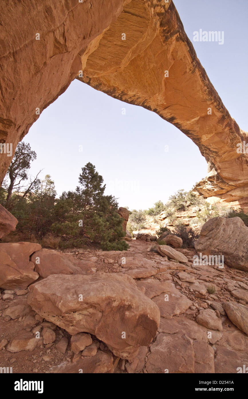 Owachomo Bridge Natural Bridges National Monument which in southeast ...