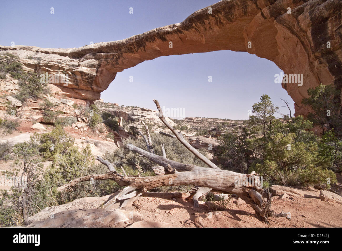Owachomo Bridge Natural Bridges National Monument which in southeast ...