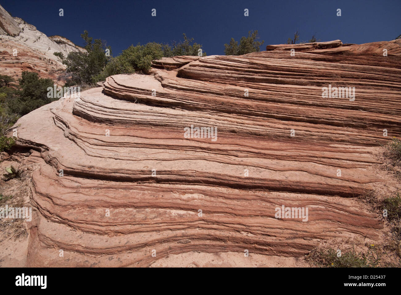 Navajo Sandstone wide spread geologic formation across south west ...