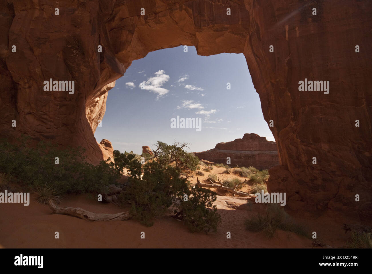 Pinetree arch hi-res stock photography and images - Alamy