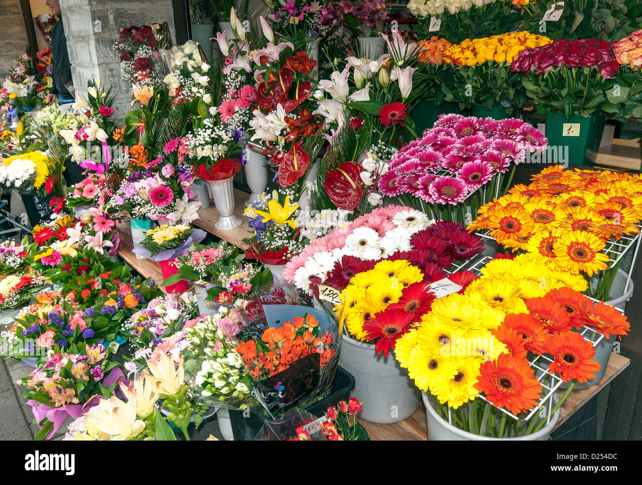 Tallinn flower market hi-res stock photography and images - Alamy