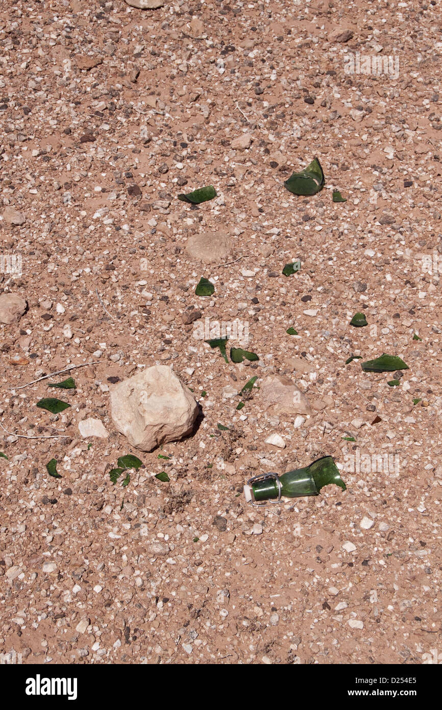 Broken glass bottle dumped by the side of the road, risk to wildlife ...
