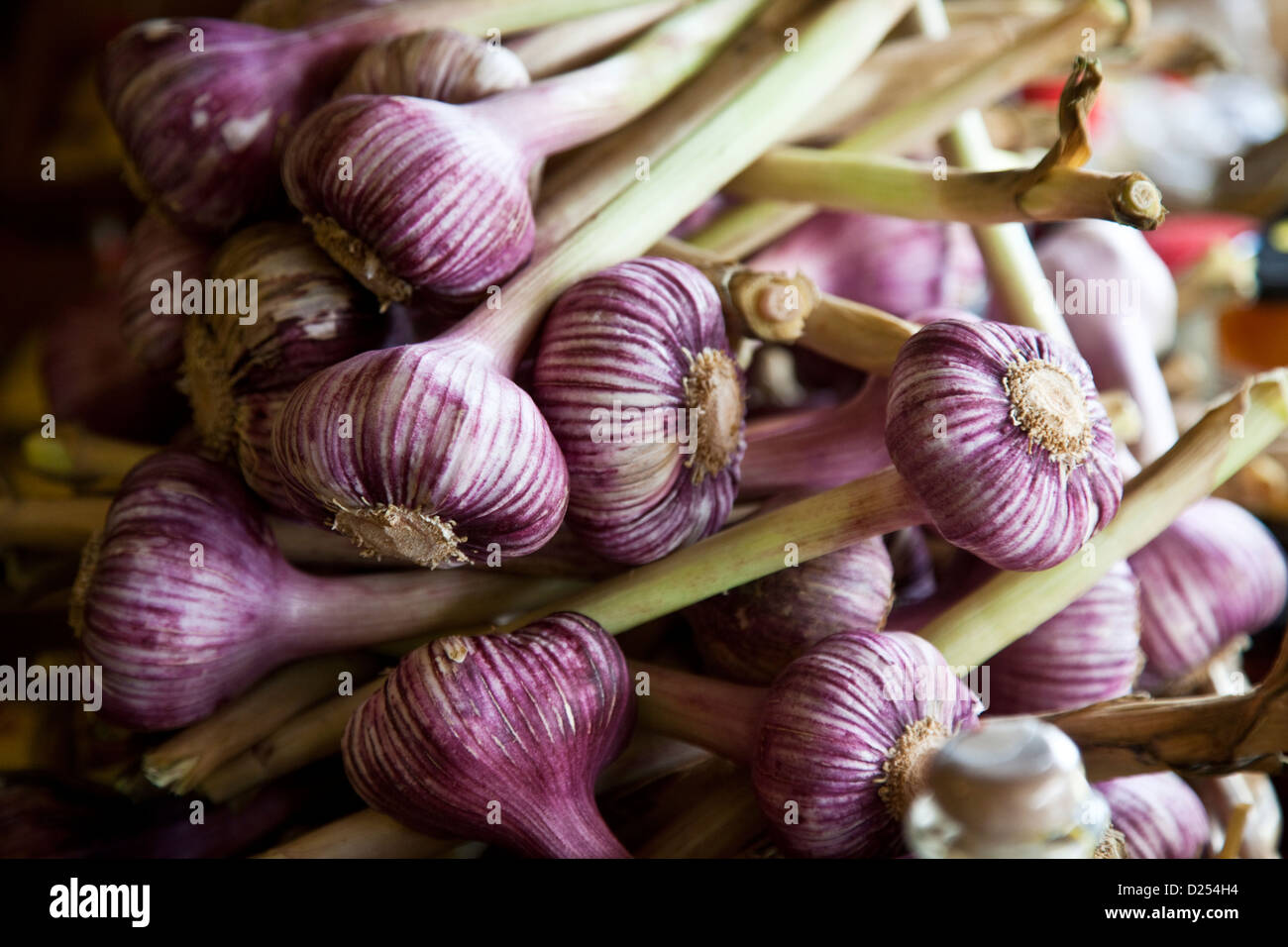 Fresh garlic in a shop Stock Photo - Alamy