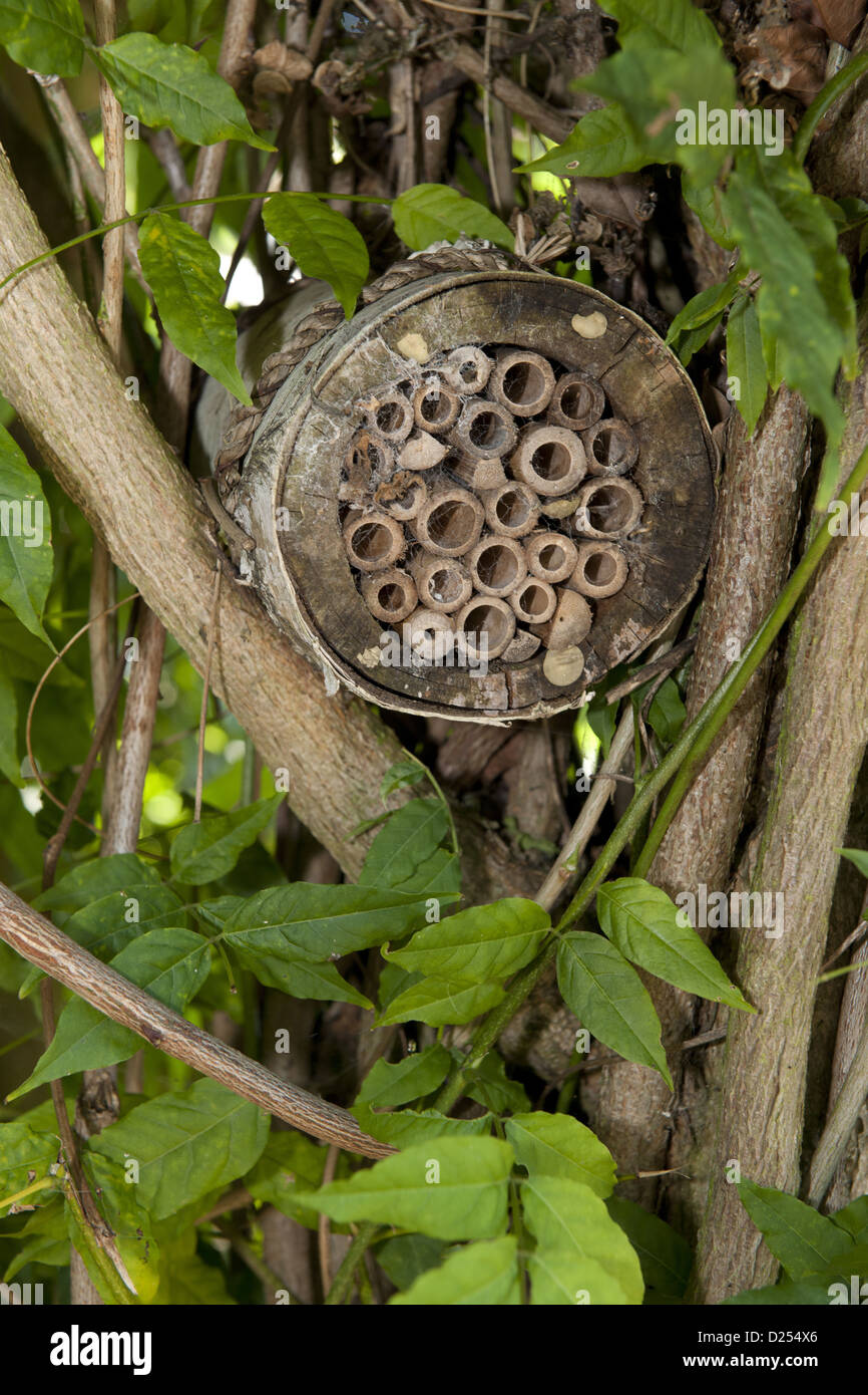 Refuge boxes hi-res stock photography and images - Alamy