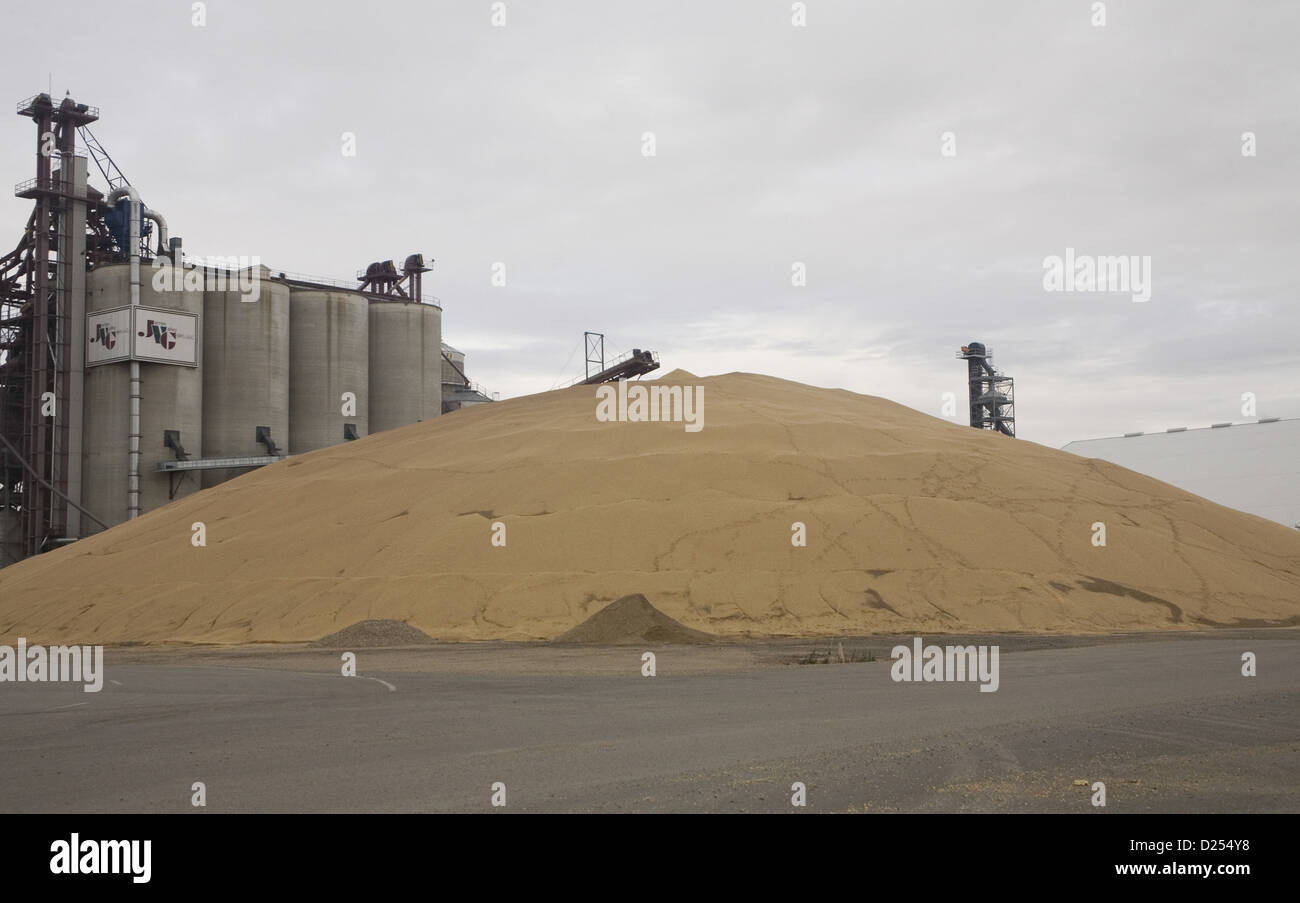 Soya bean storage hi-res stock photography and images - Alamy