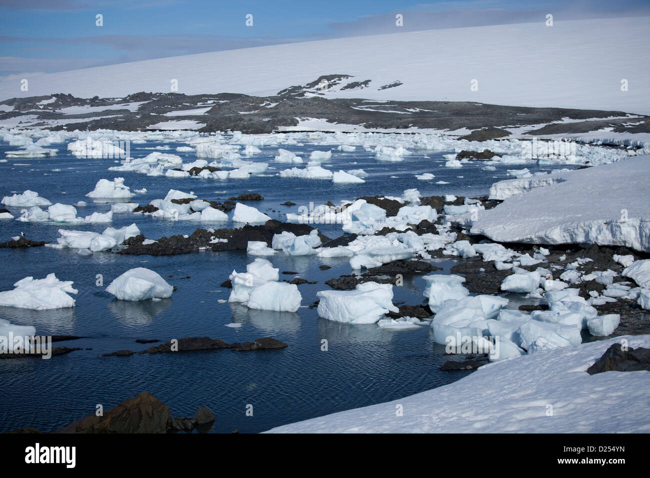 Brash ice in Hope Bay, Antarctica Stock Photo - Alamy