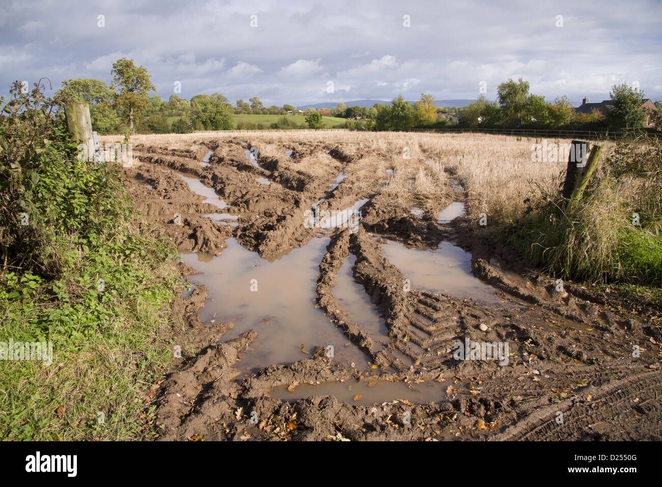 Mud ruts hi-res stock photography and images - Alamy
