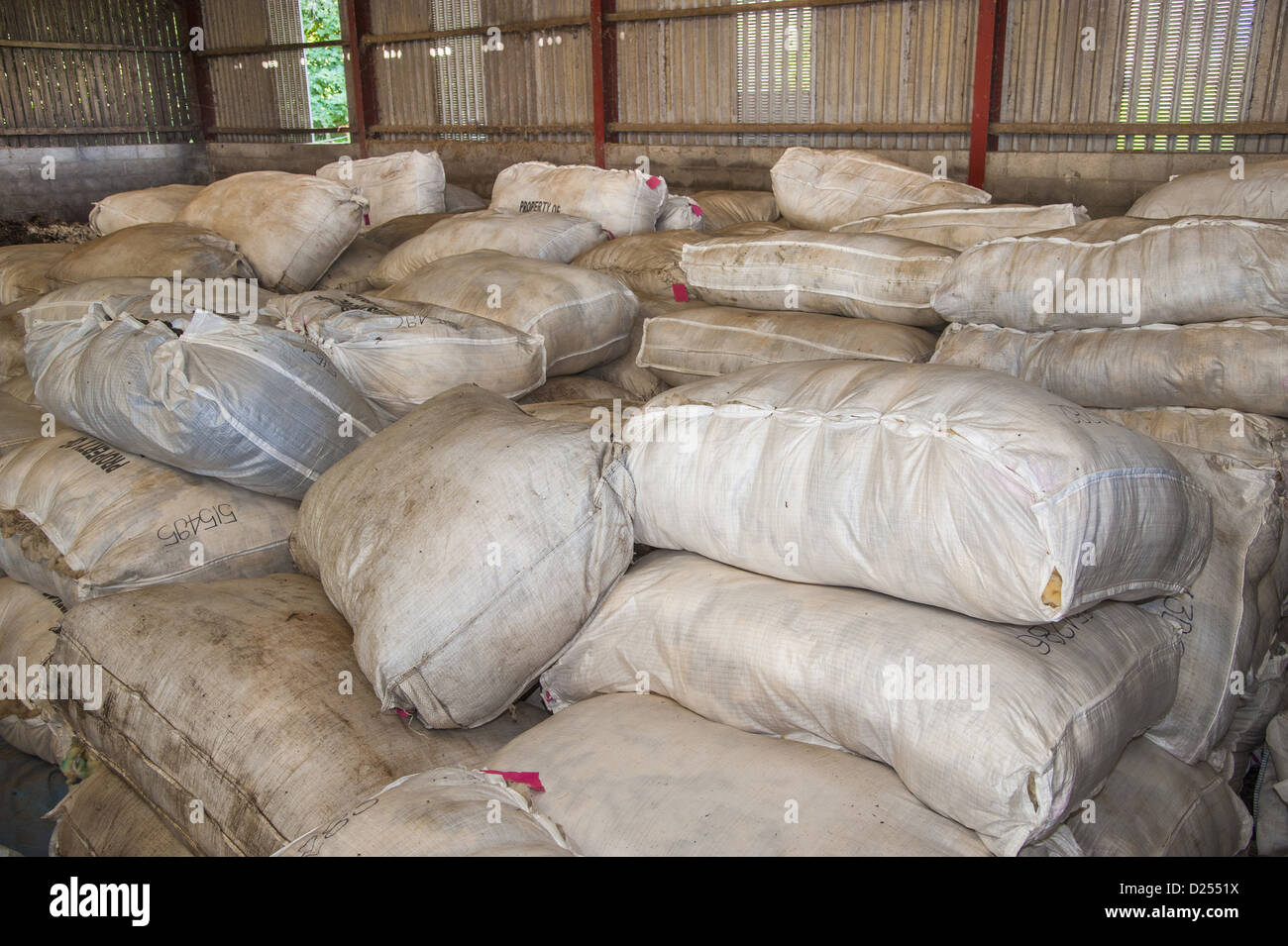 Wool bags ready transport to British Wool Marketing Board Bradford ...