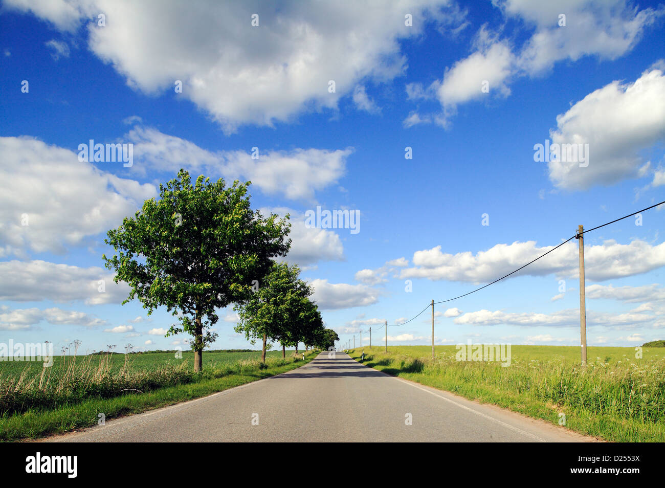 Large trowel, Germany, landscape with trees and road between fields ...
