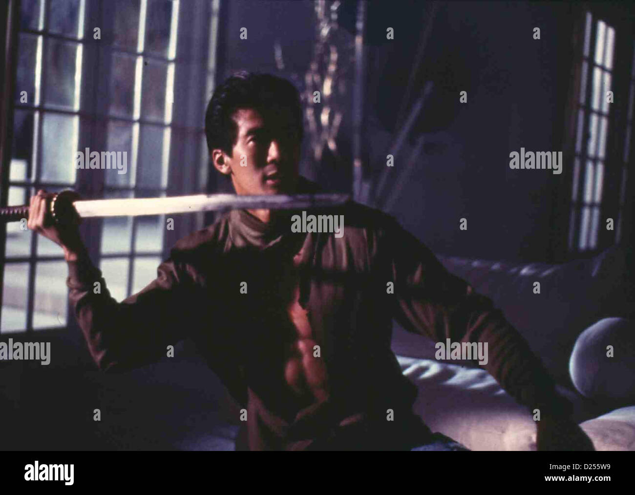 Schwert Des Ruhms Sword Honor Steven Vincent Leigh Das Schwert wechselt ...