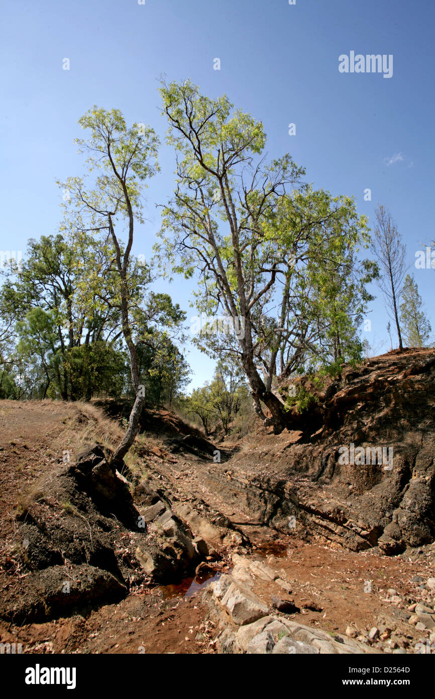 Dry creek bed, New South Wales, Outback, Australia-Lake Keepit Stock ...
