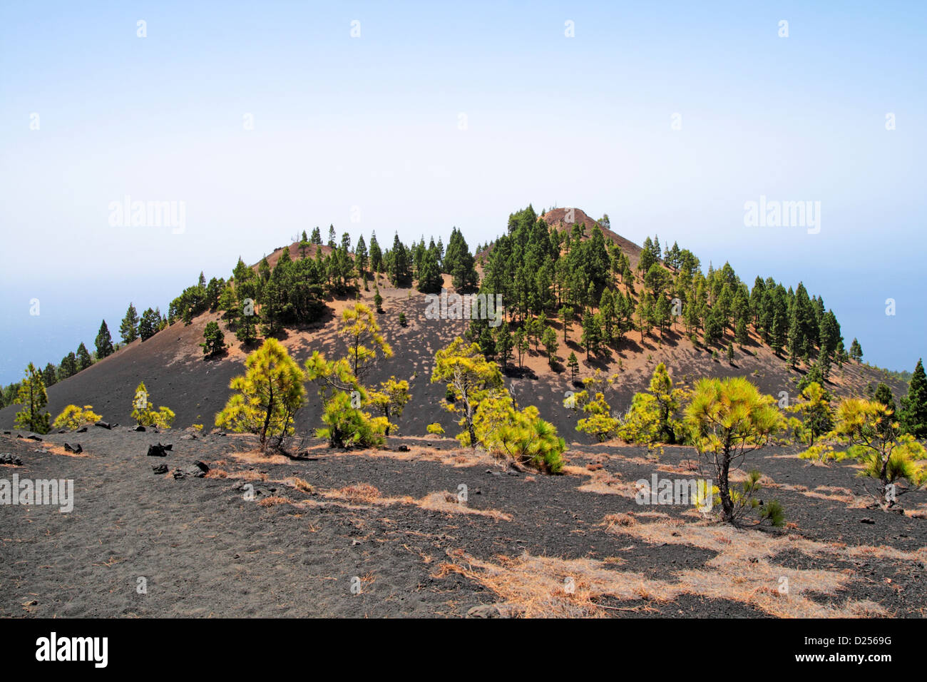 Volcano route in La Palma island (Spain Stock Photo - Alamy