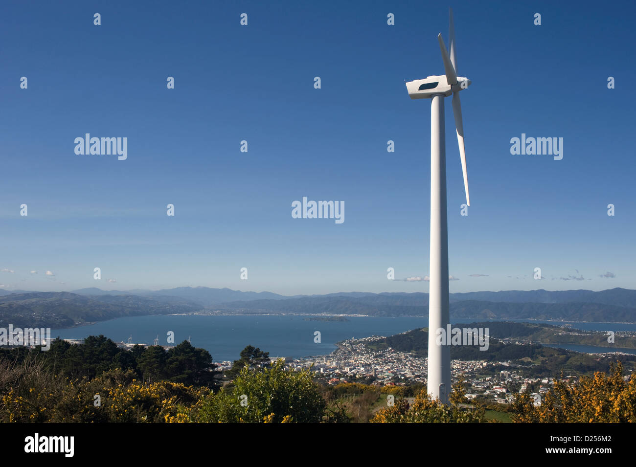Panoramic view of Wellington, New Zealand, with wind turbine in ...