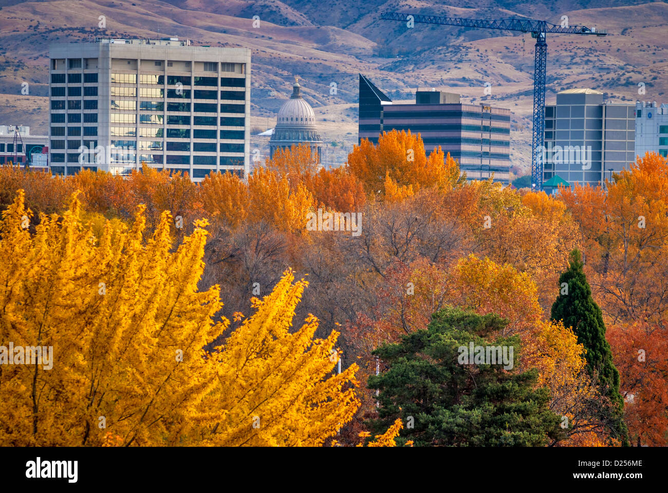 Colorful trees and the city of Boise Stock Photo - Alamy