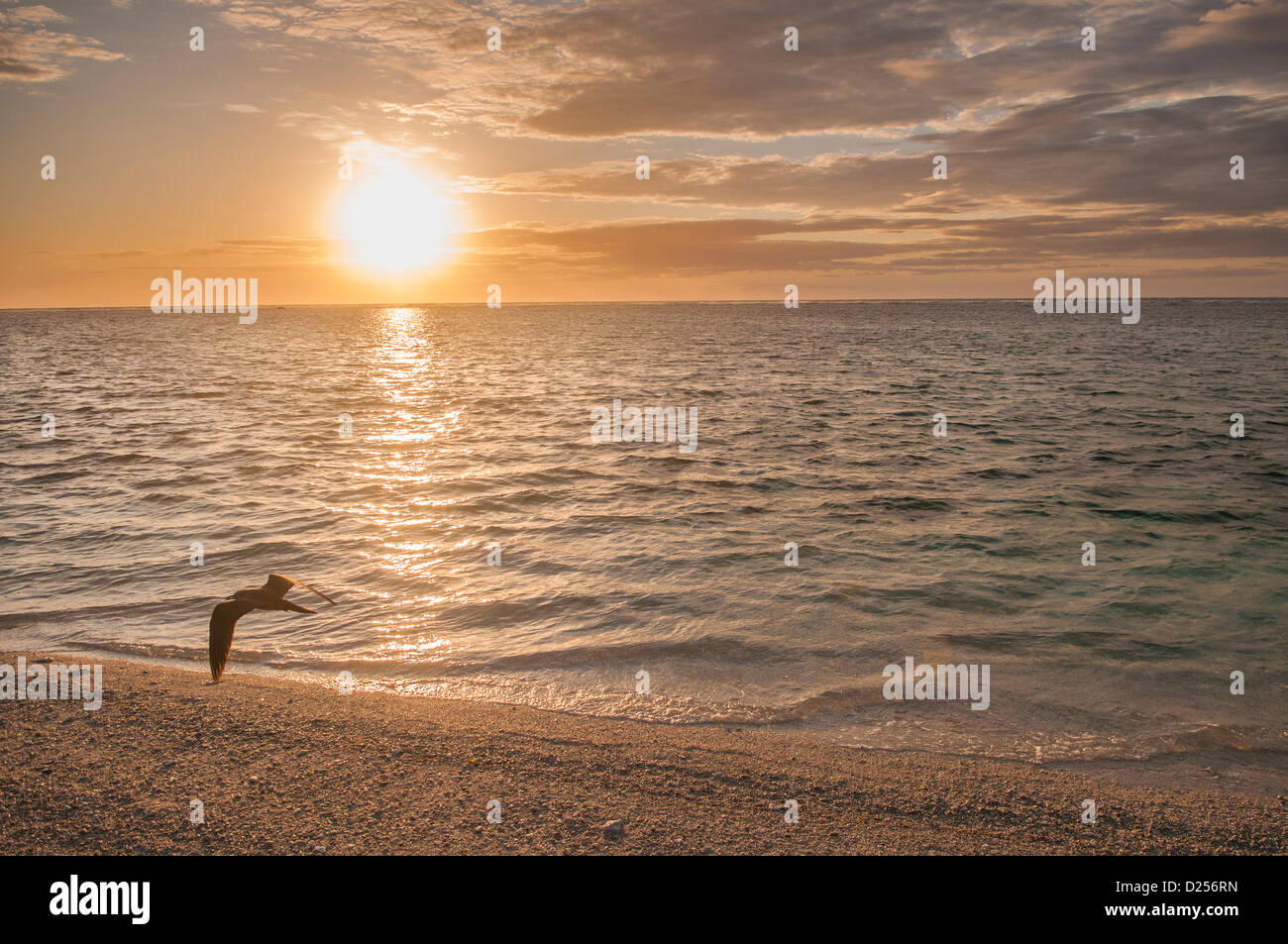 Sunrise Lady Elliot Island Great Barrier Reef Queensland Australia