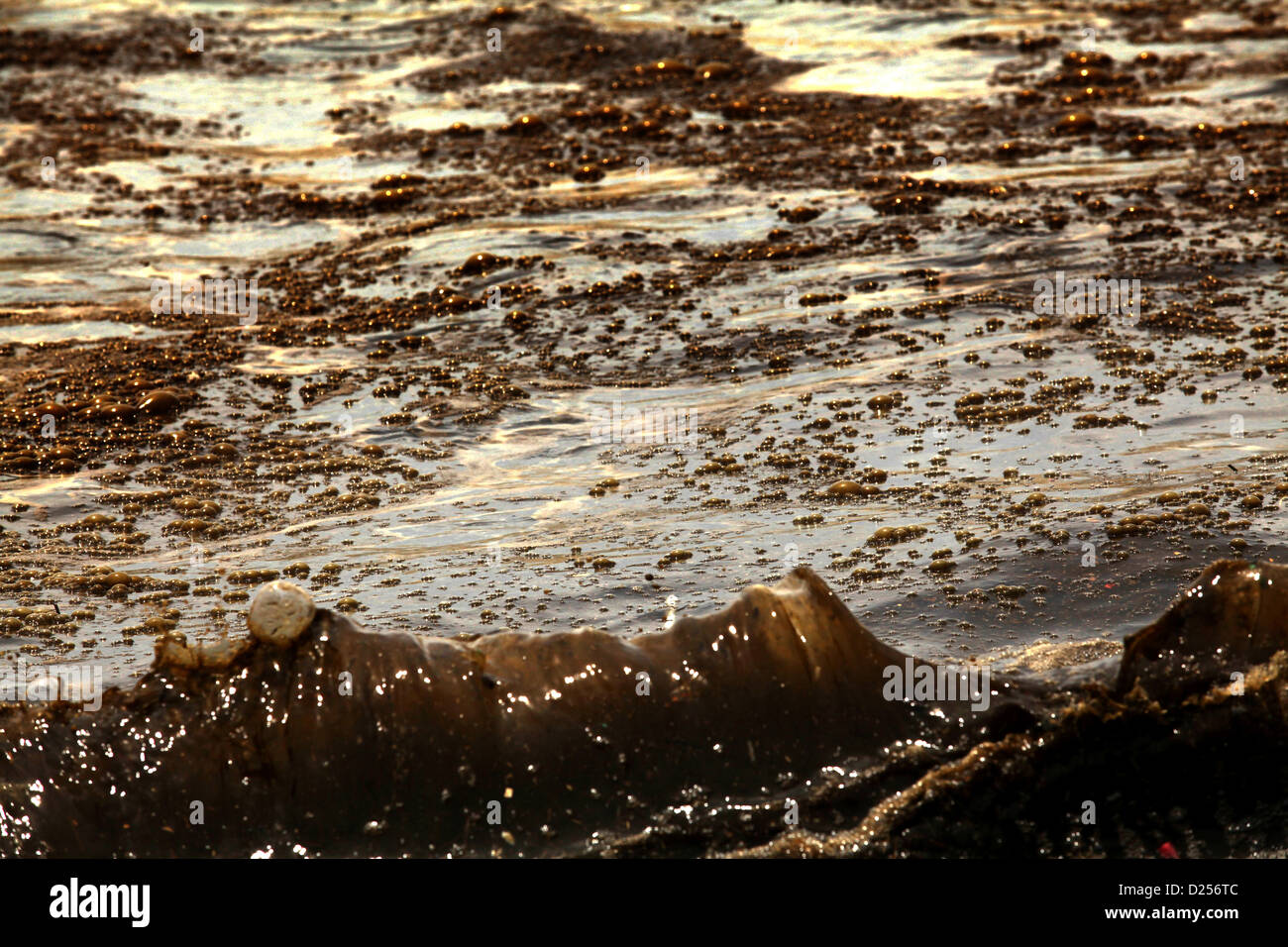 Bali's Garbage: From the River to the Sea, Polluted toxic water Stock ...