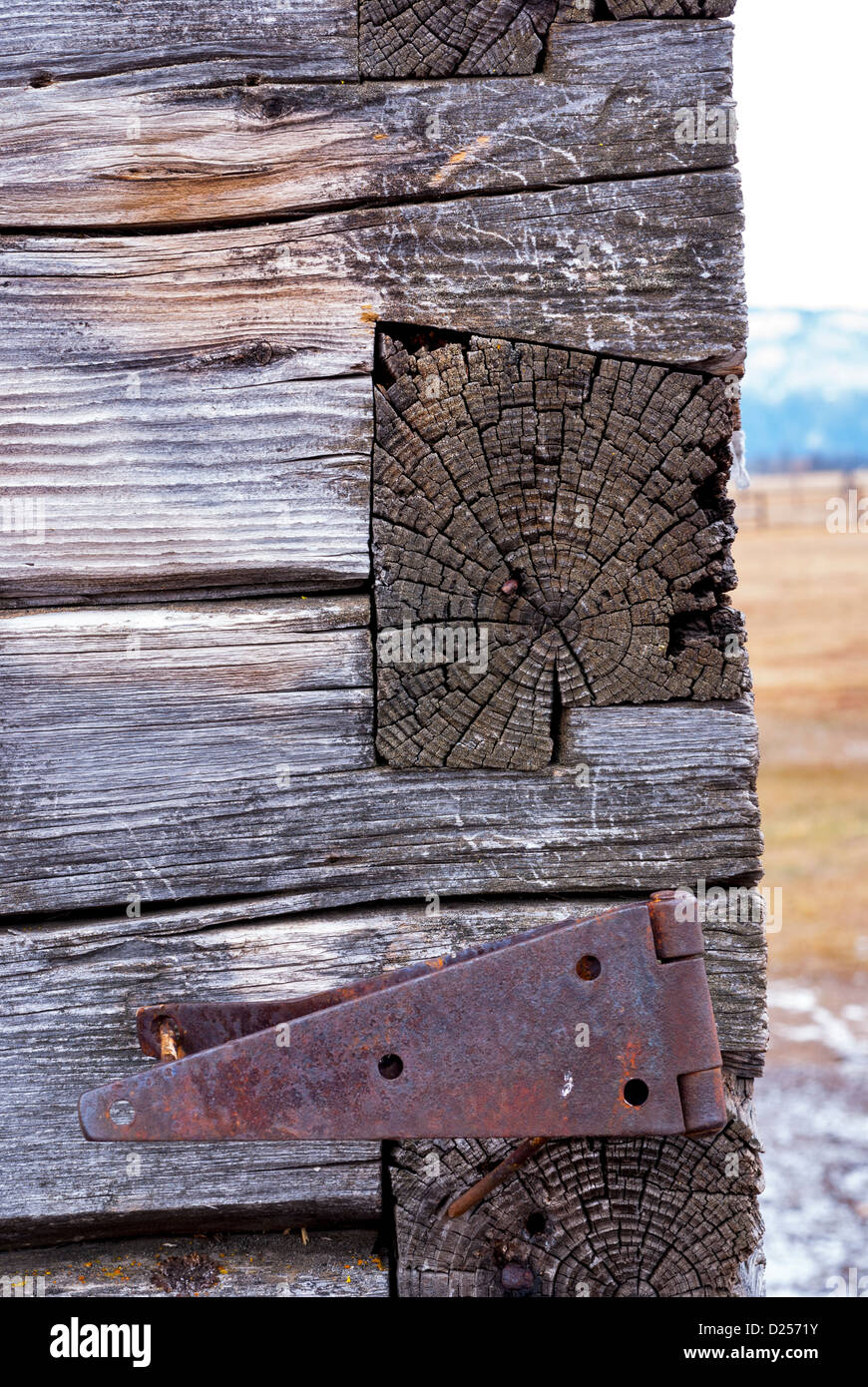 Perfectly carved hi-res stock photography and images - Alamy