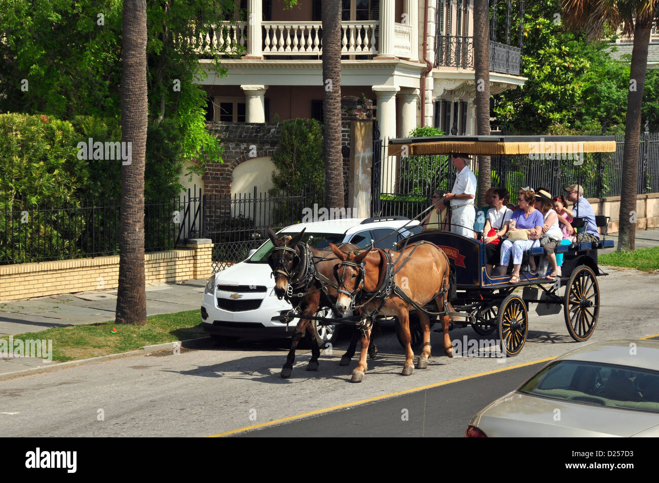 Mule drawn wagon hi-res stock photography and images - Alamy