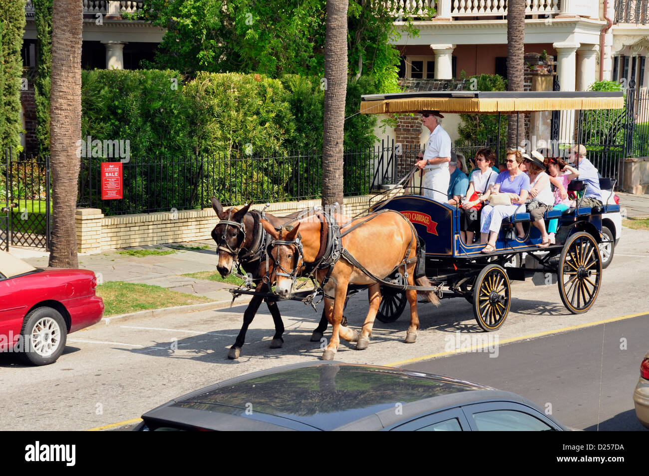 Mule drawn wagon hi-res stock photography and images - Alamy