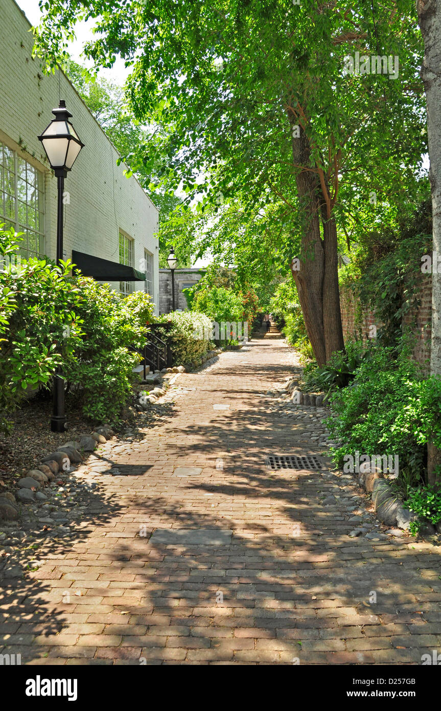 Brick-paved alleyway, Charleston Stock Photo - Alamy