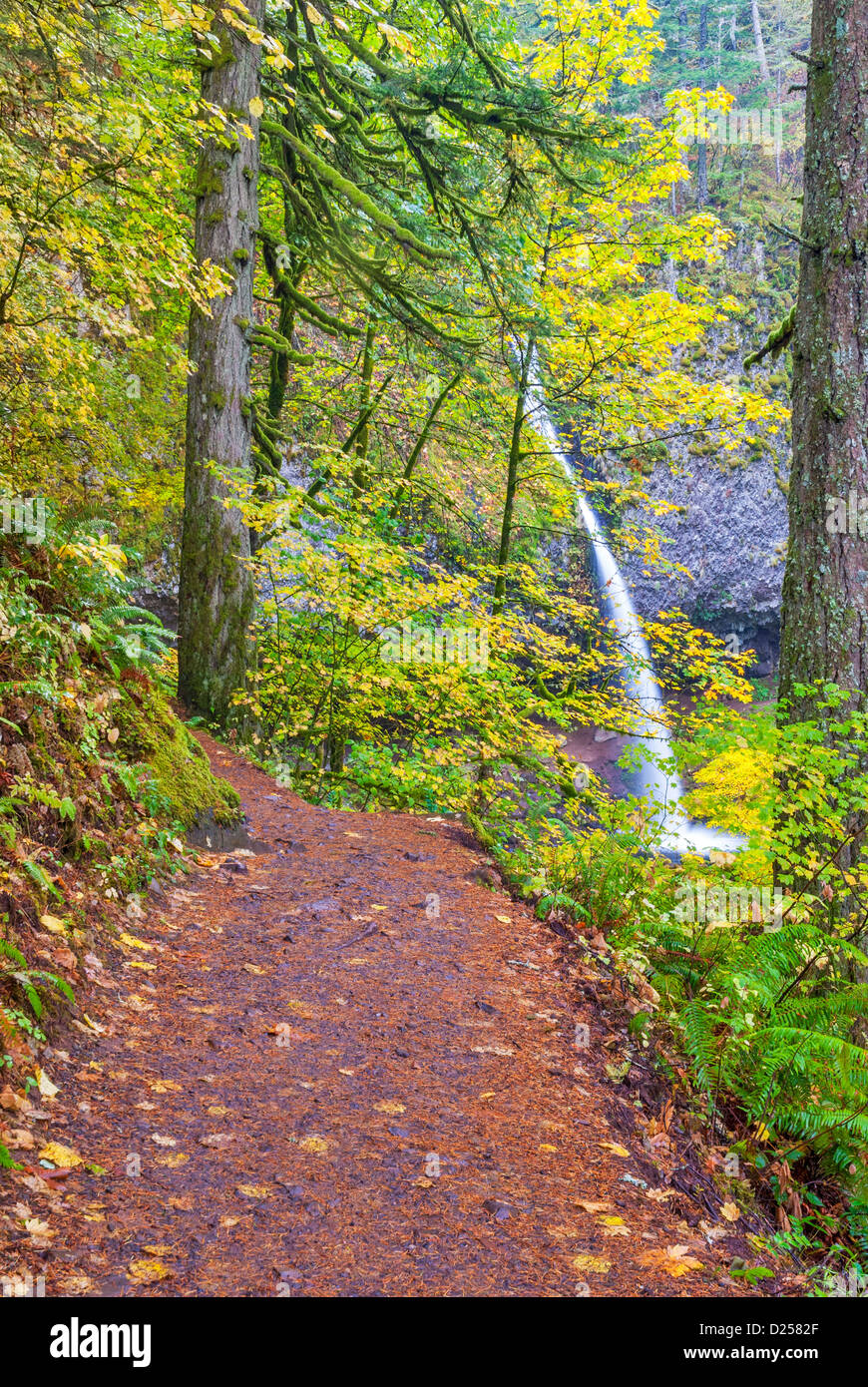 Waterfall trail hi-res stock photography and images - Alamy