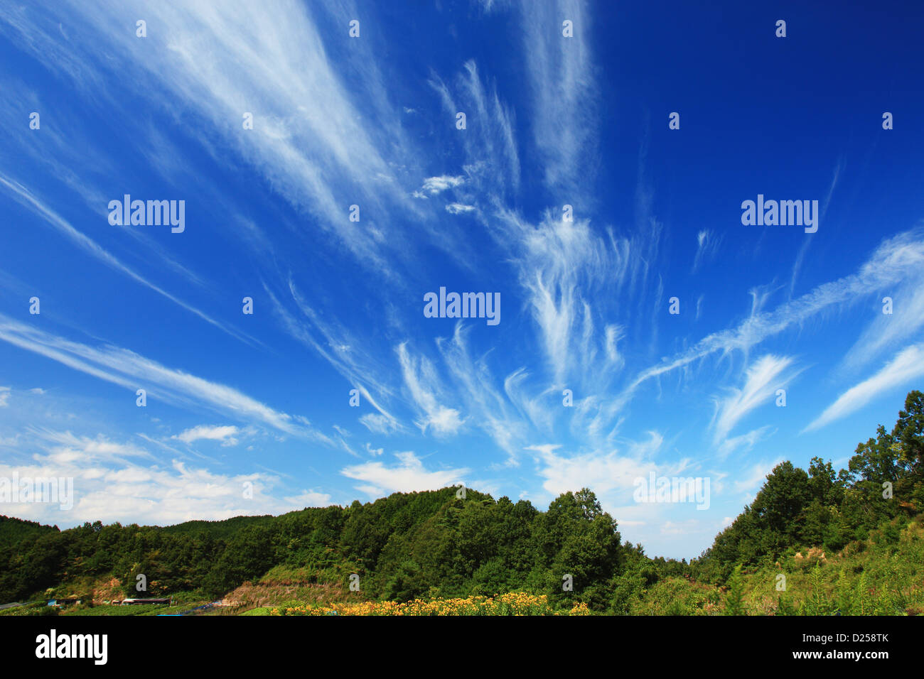 Greenery and blue sky with clouds in Sakurai, Nara Prefecture Stock ...