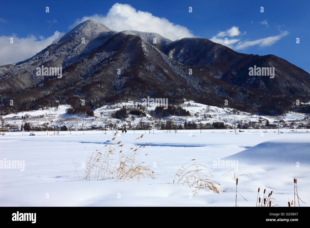 Iiyama hi-res stock photography and images - Alamy