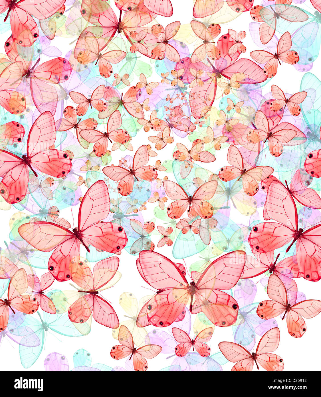 beautiful butterfly abstract texture background Stock Photo - Alamy