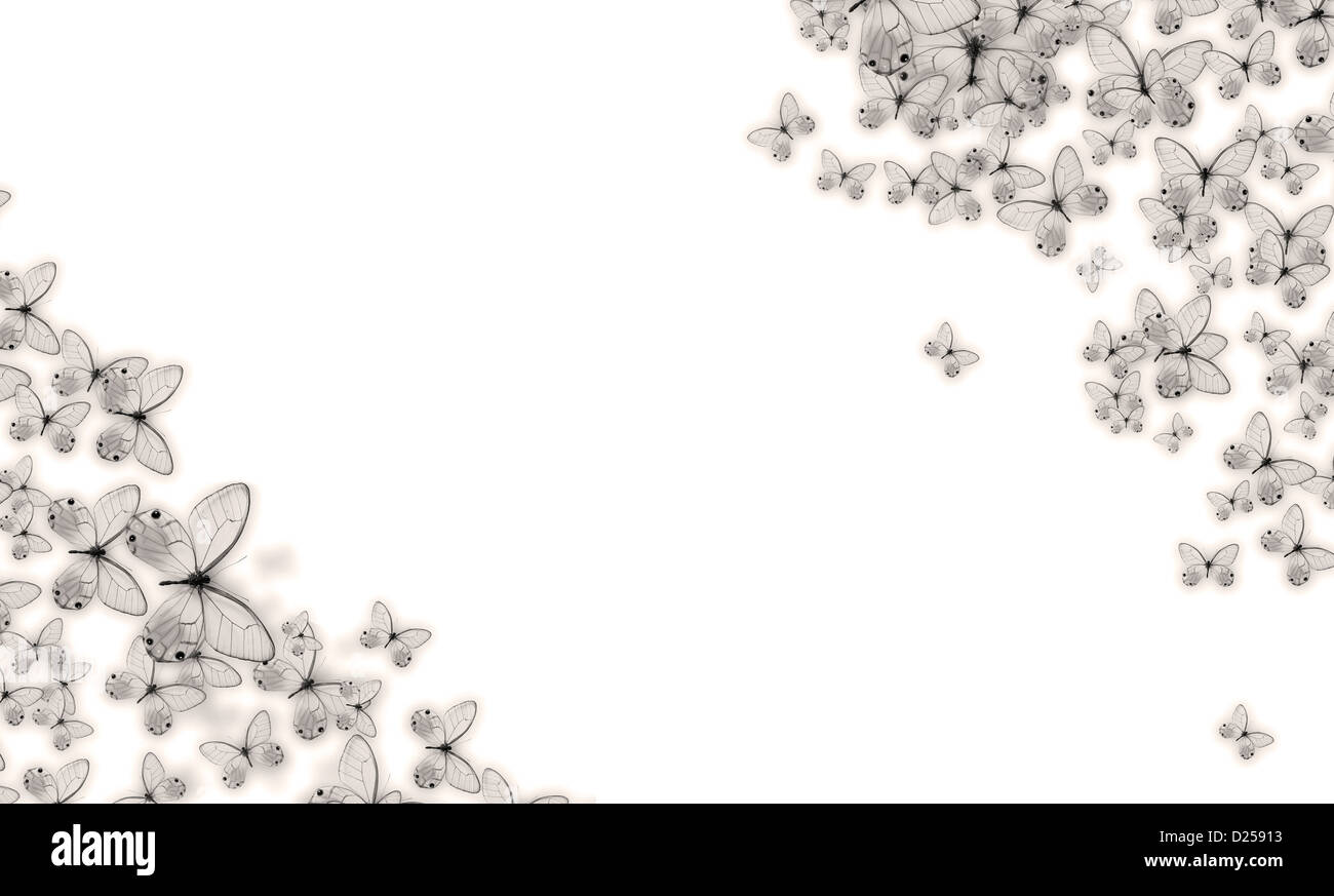 beautiful butterfly abstract texture background Stock Photo - Alamy