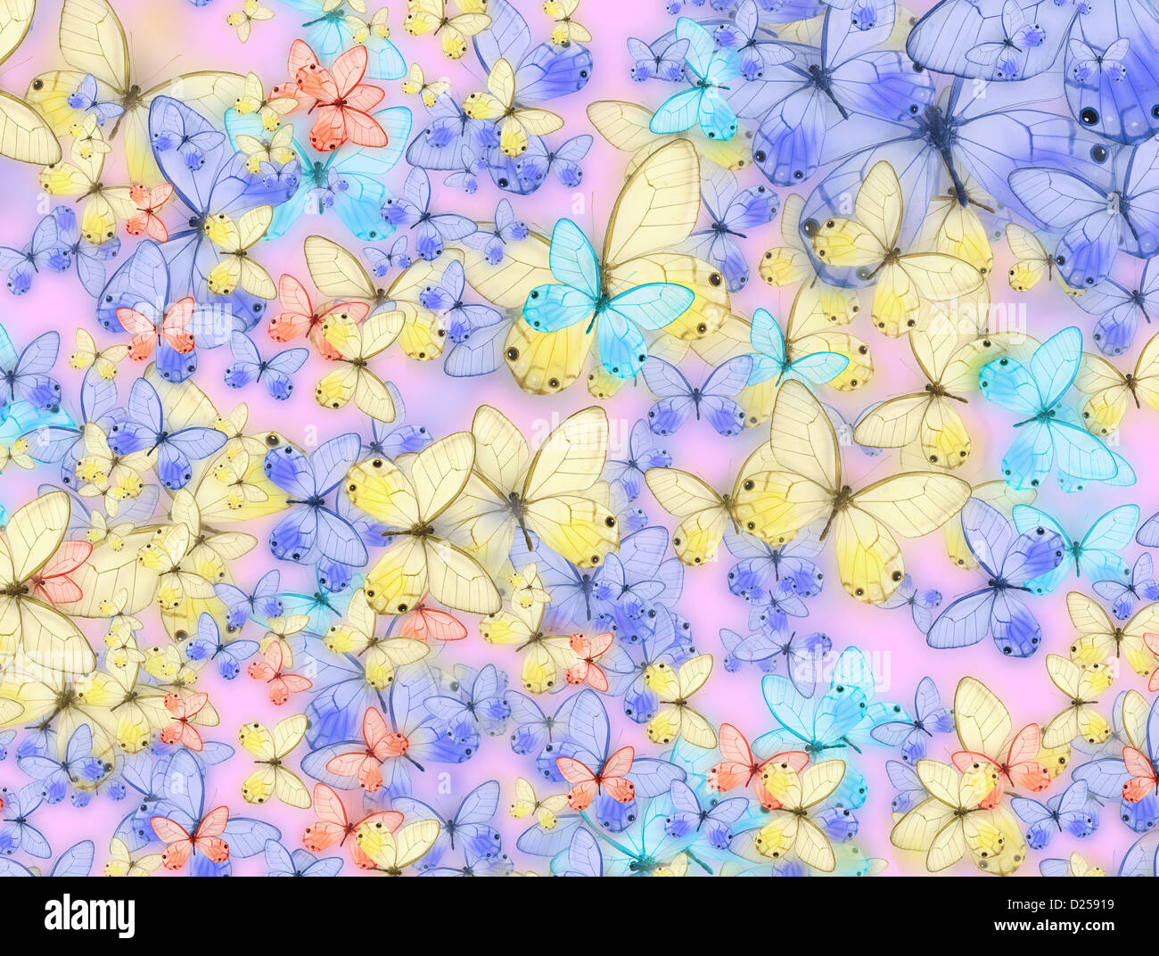 beautiful butterfly abstract texture background Stock Photo - Alamy