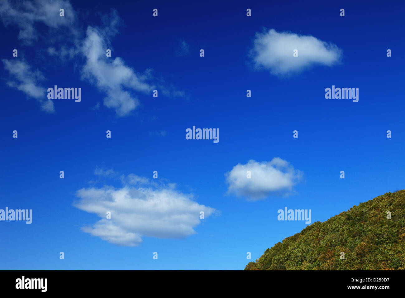 Greenery and blue sky with clouds Stock Photo - Alamy