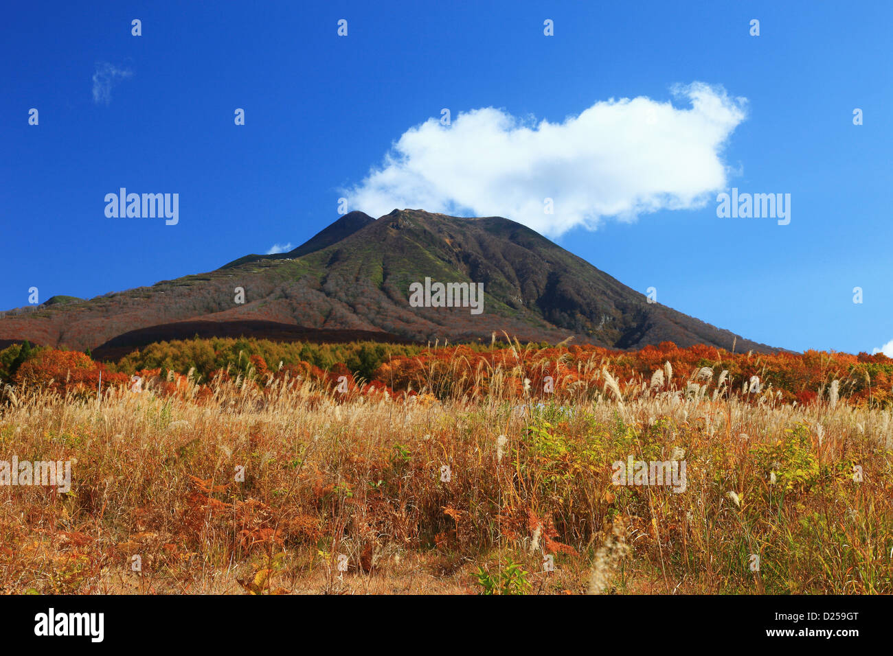 Iwaki, japan hi-res stock photography and images - Alamy