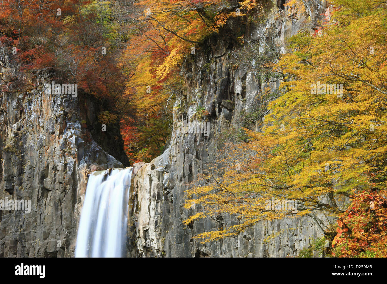 Naena waterfall, Niigata Prefecture Stock Photo - Alamy