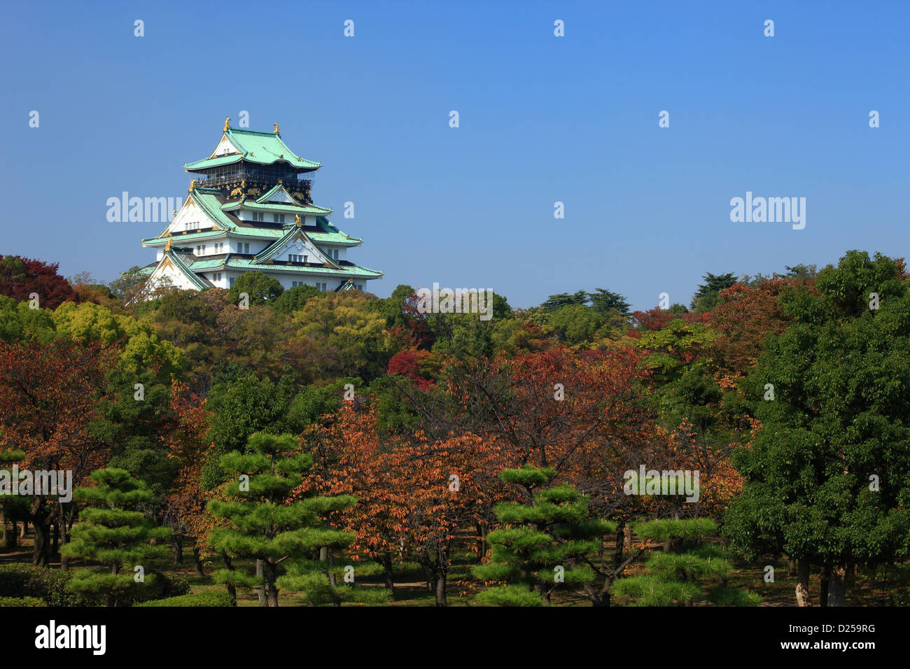 Osaka Castle Park, Osaka Prefecture Stock Photo - Alamy