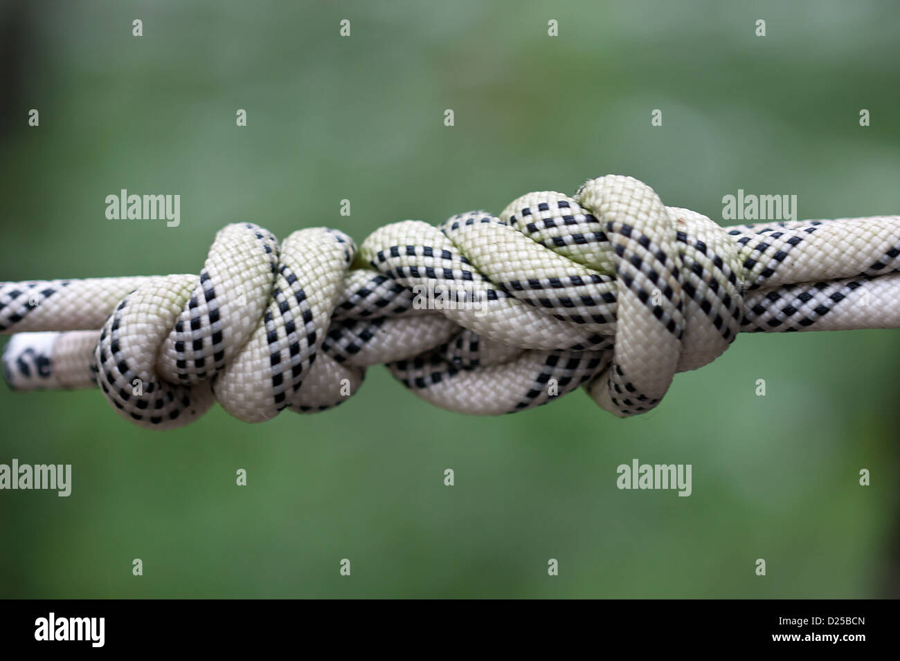 Close-up photo of rope with knot tied on green background Stock Photo ...