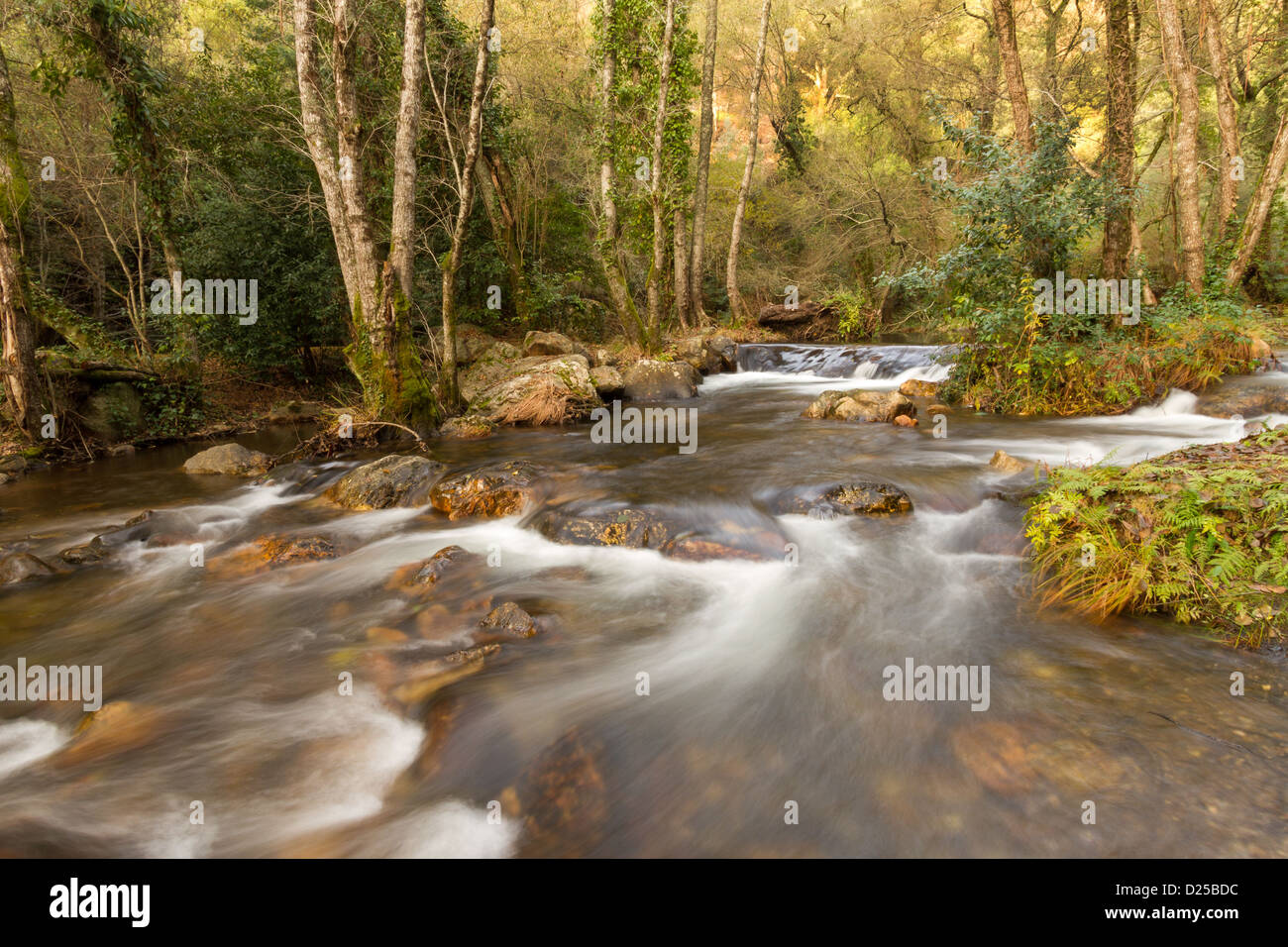 Natural jungle river under hi-res stock photography and images - Alamy