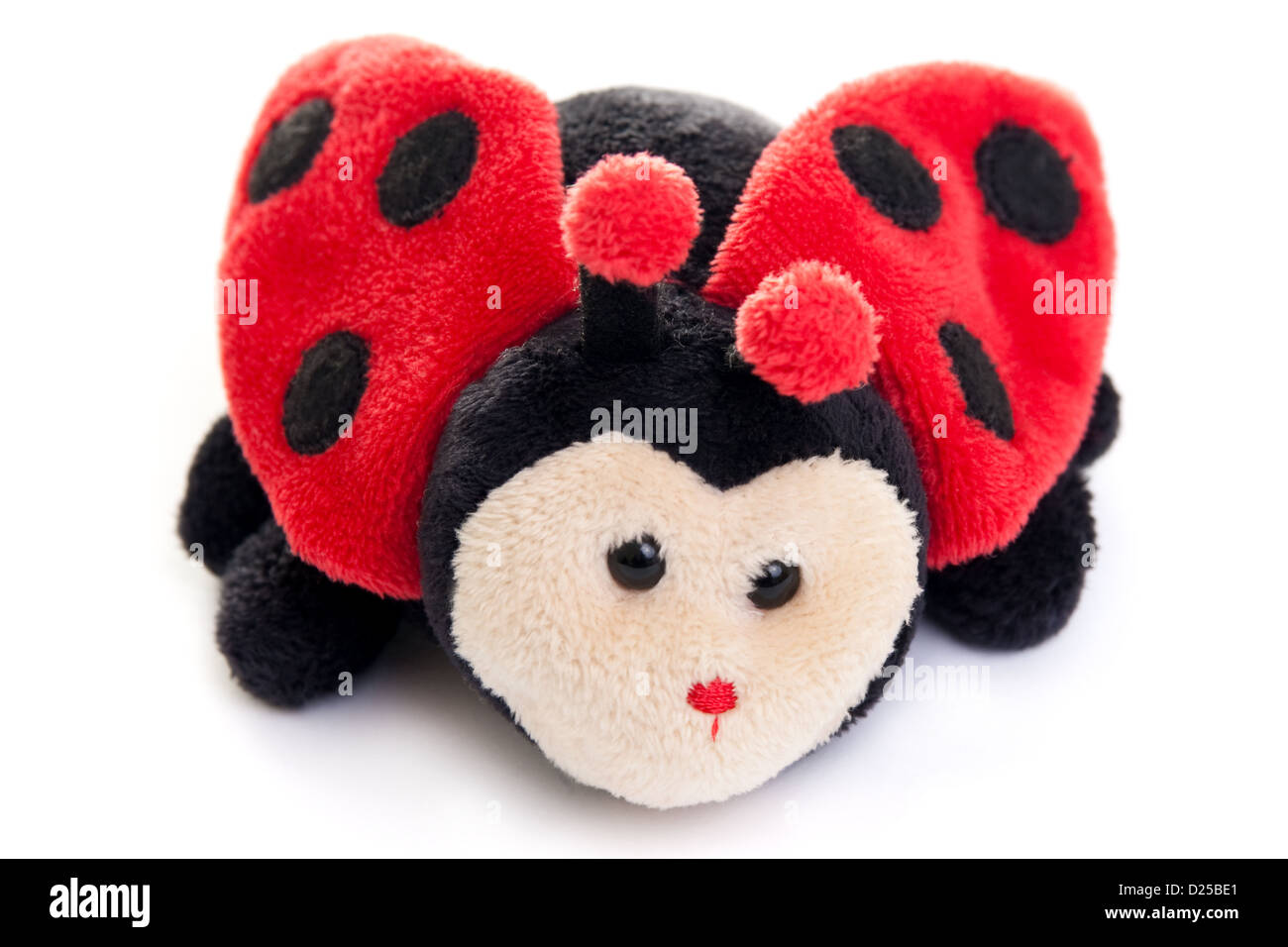 Ladybird toy isolated on a white background Stock Photo - Alamy