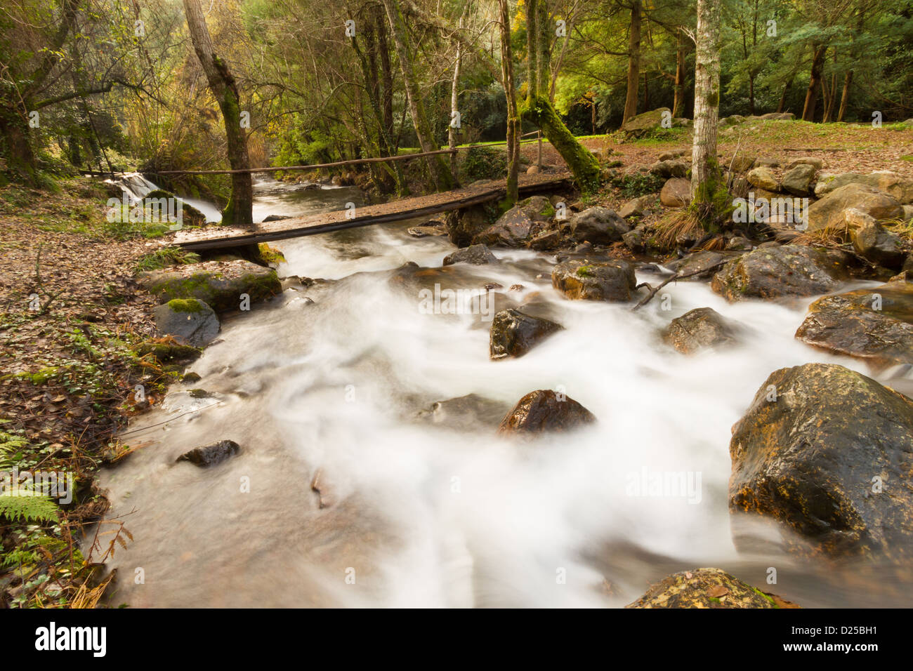 River slow flow green trees hi-res stock photography and images - Alamy