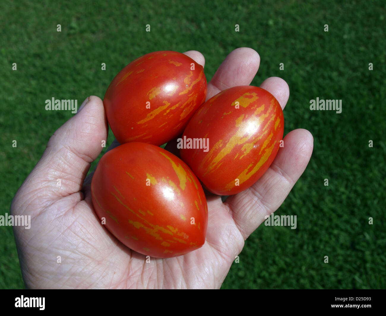 Three color hi-res stock photography and images - Alamy