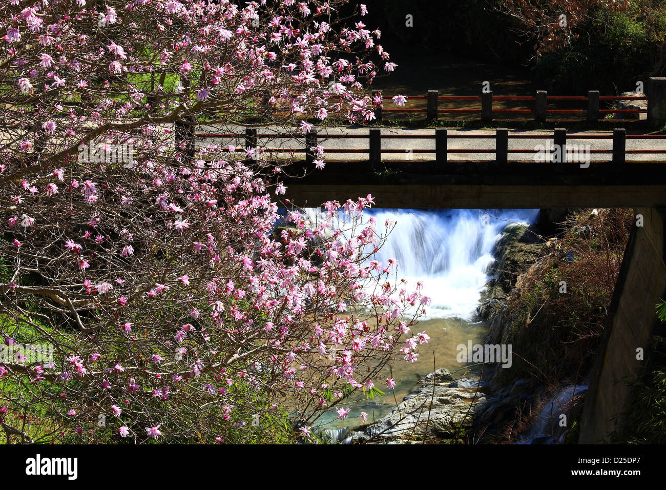 Nara japan bridge hi-res stock photography and images - Alamy