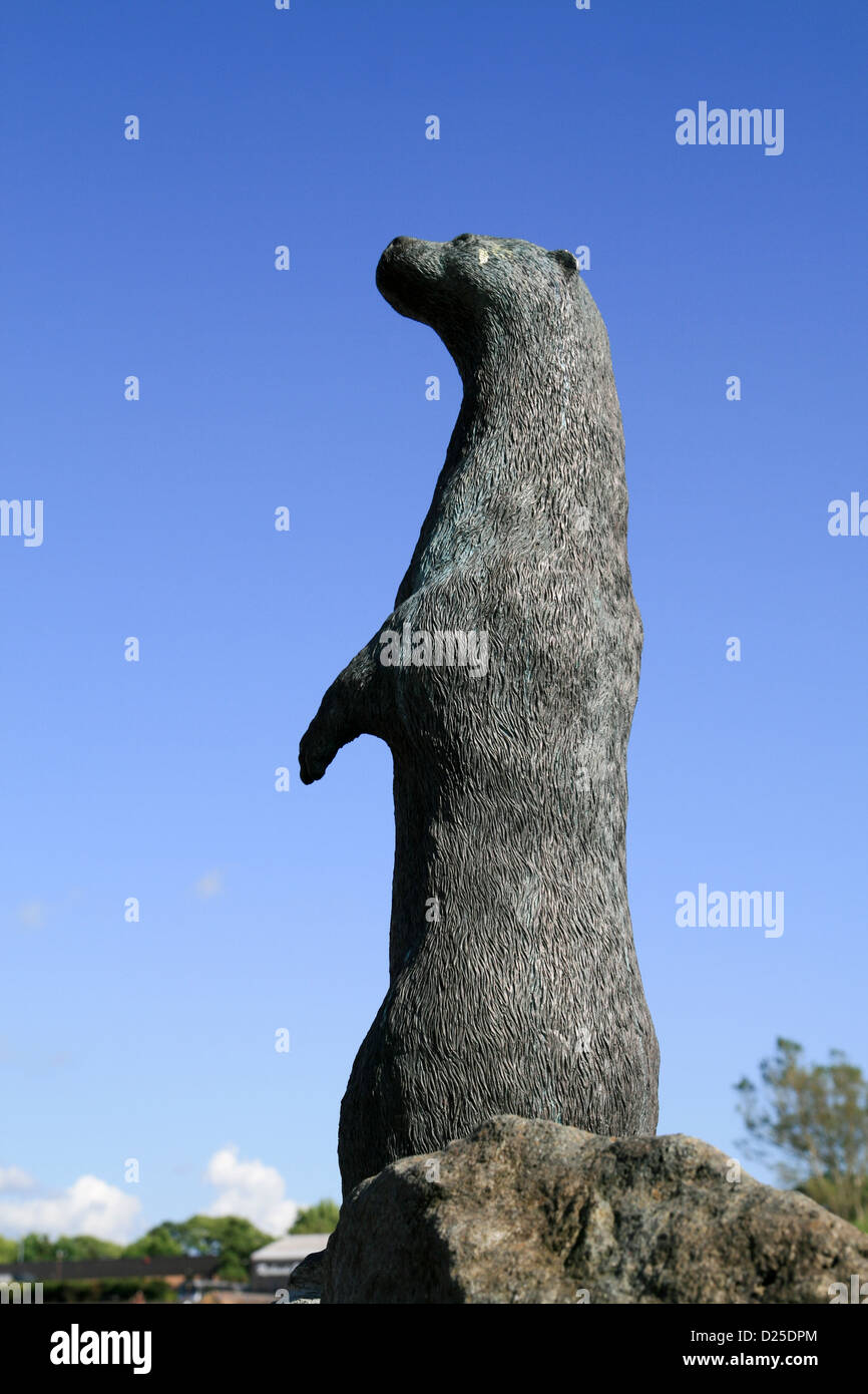 Teifi Otter Cardigan Ceredigion Wales UK Stock Photo - Alamy