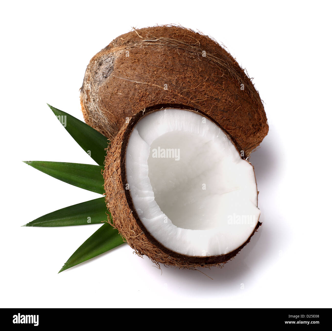 Fresh coconut with leaves Stock Photo - Alamy