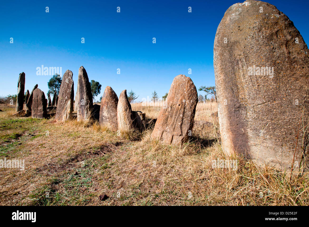 Neolithic stelae engraved with swords standing in a field near the ...