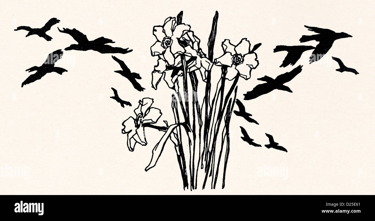 Raven and Flower Stock Photo - Alamy