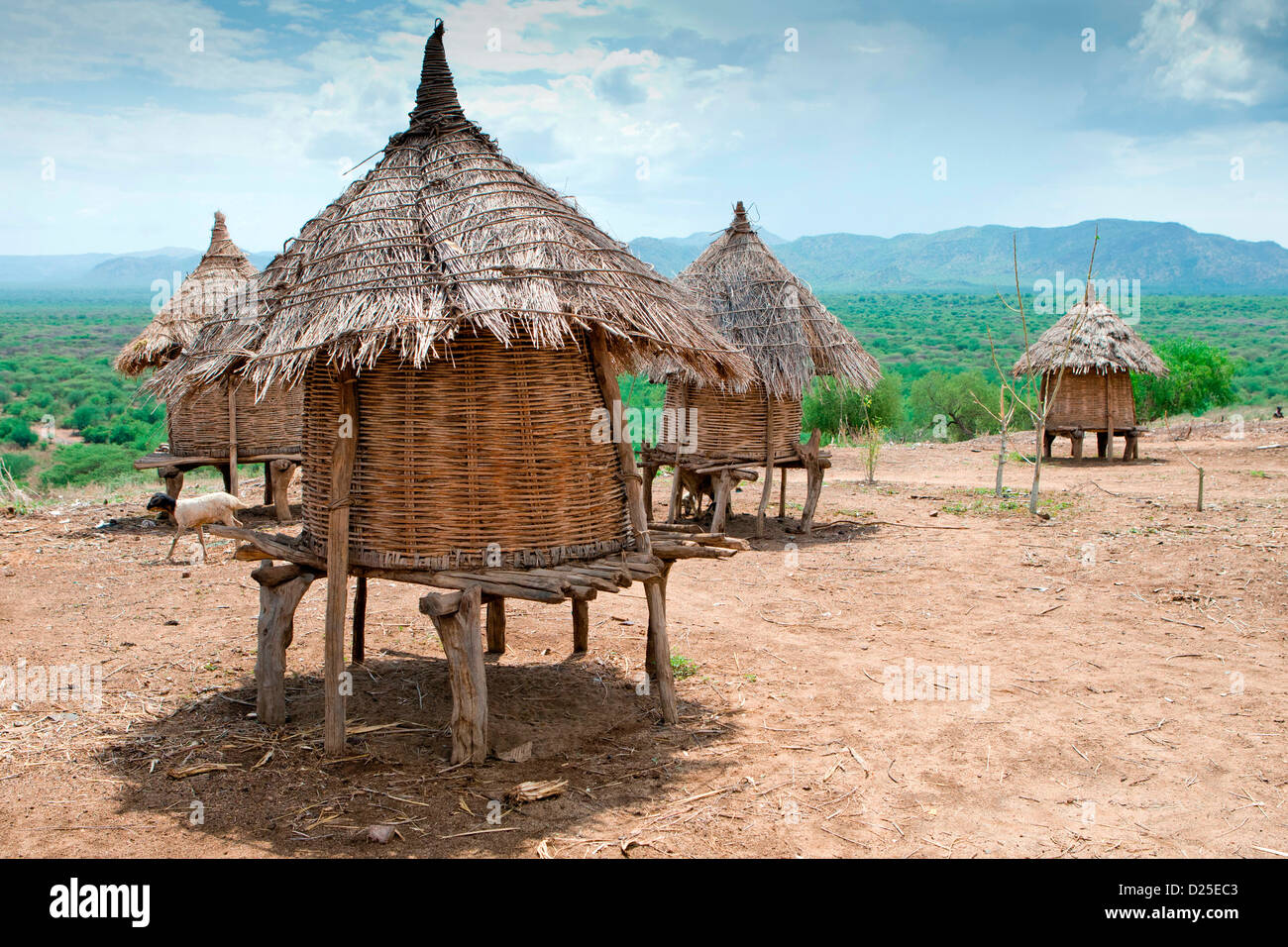 Traditional grain stores at the Karo tribal village of Kolcho in the ...