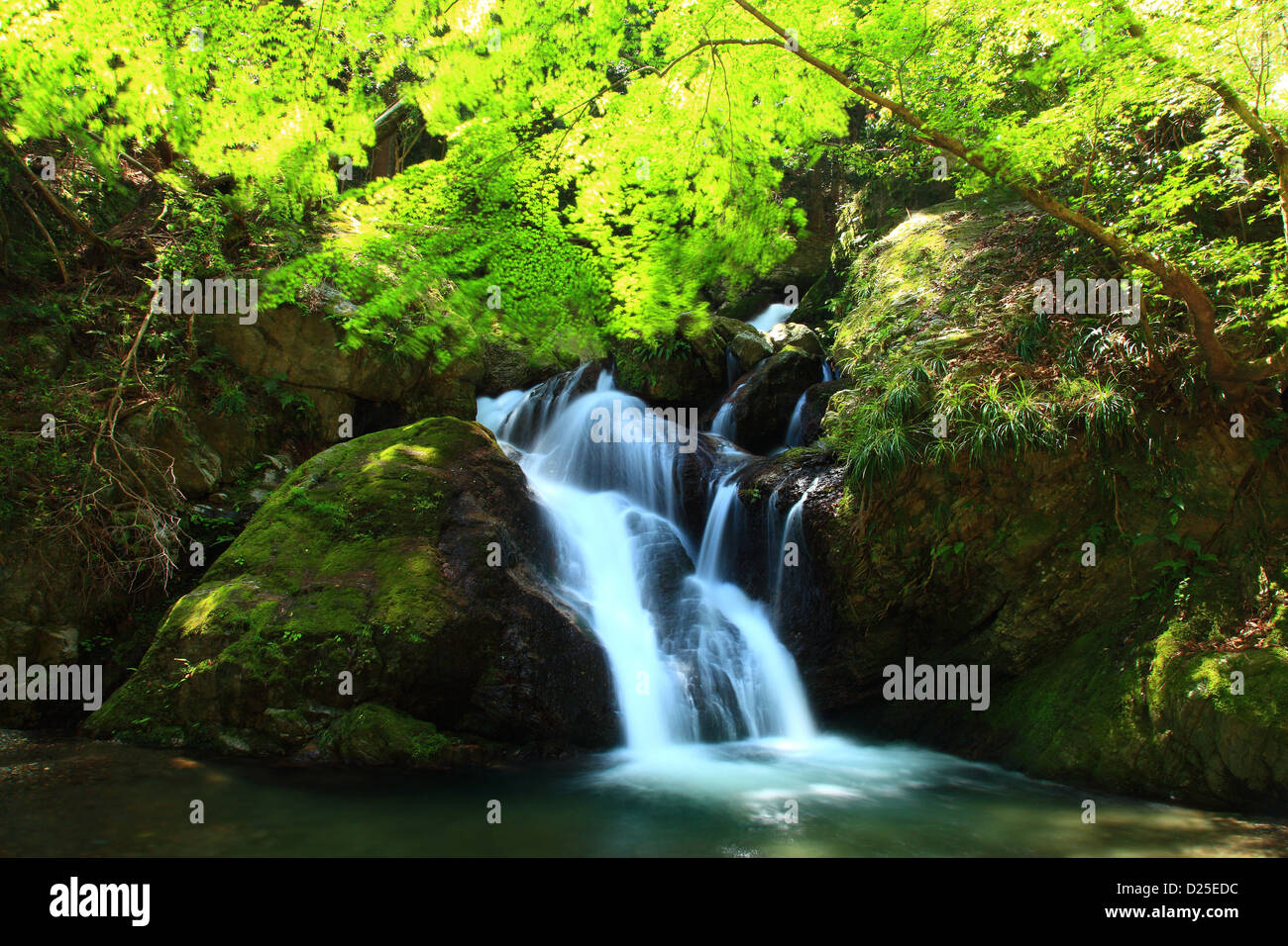 Uguisu waterfall, Tokushima Prefecture Stock Photo - Alamy