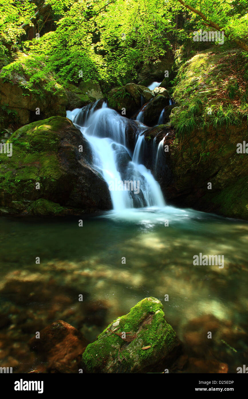 Uguisu waterfall, Tokushima Prefecture Stock Photo - Alamy