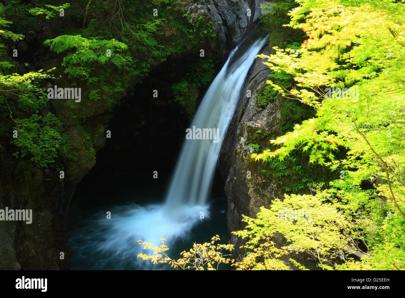 Ogama hi-res stock photography and images - Alamy